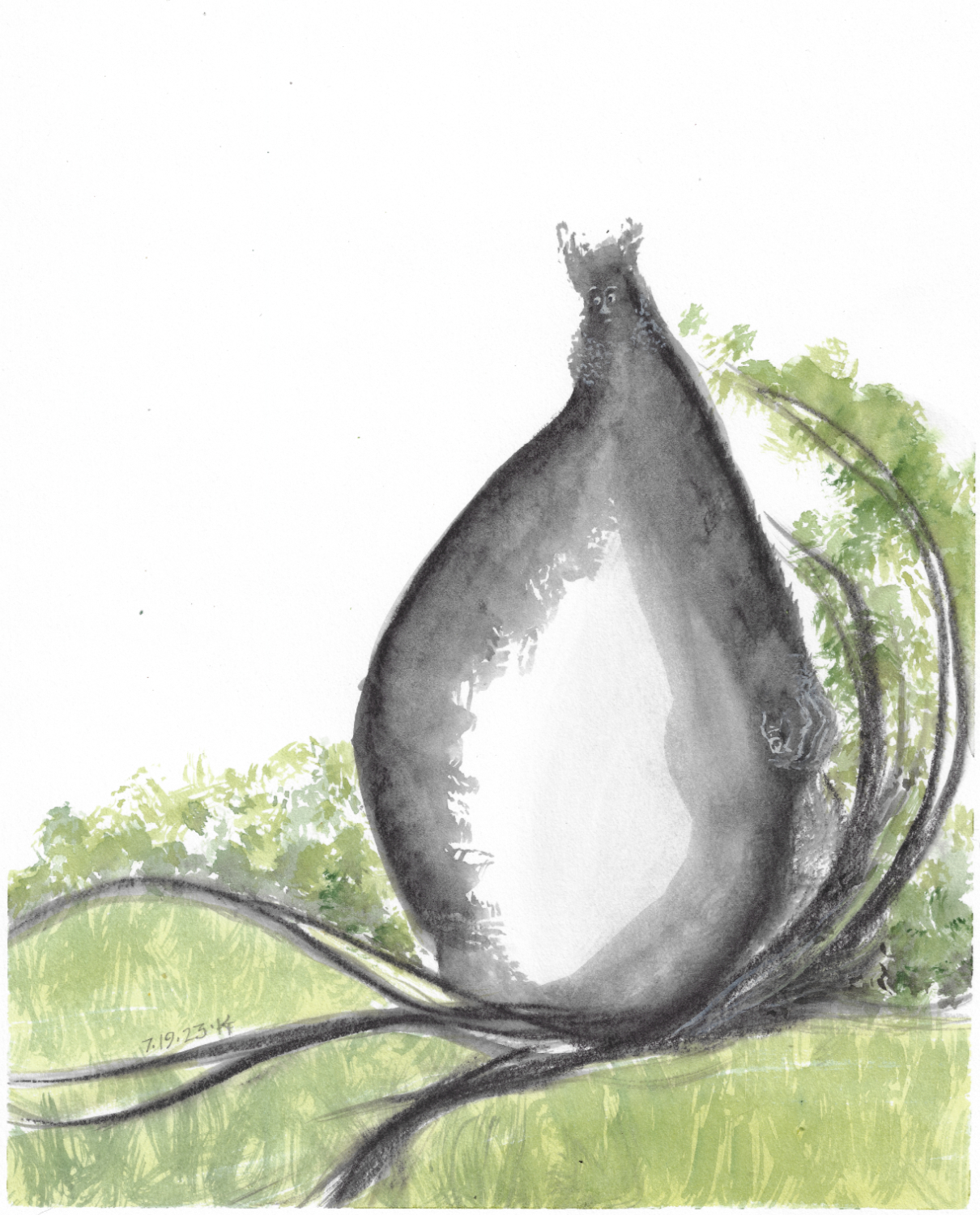 19 July 2023 | eyespider