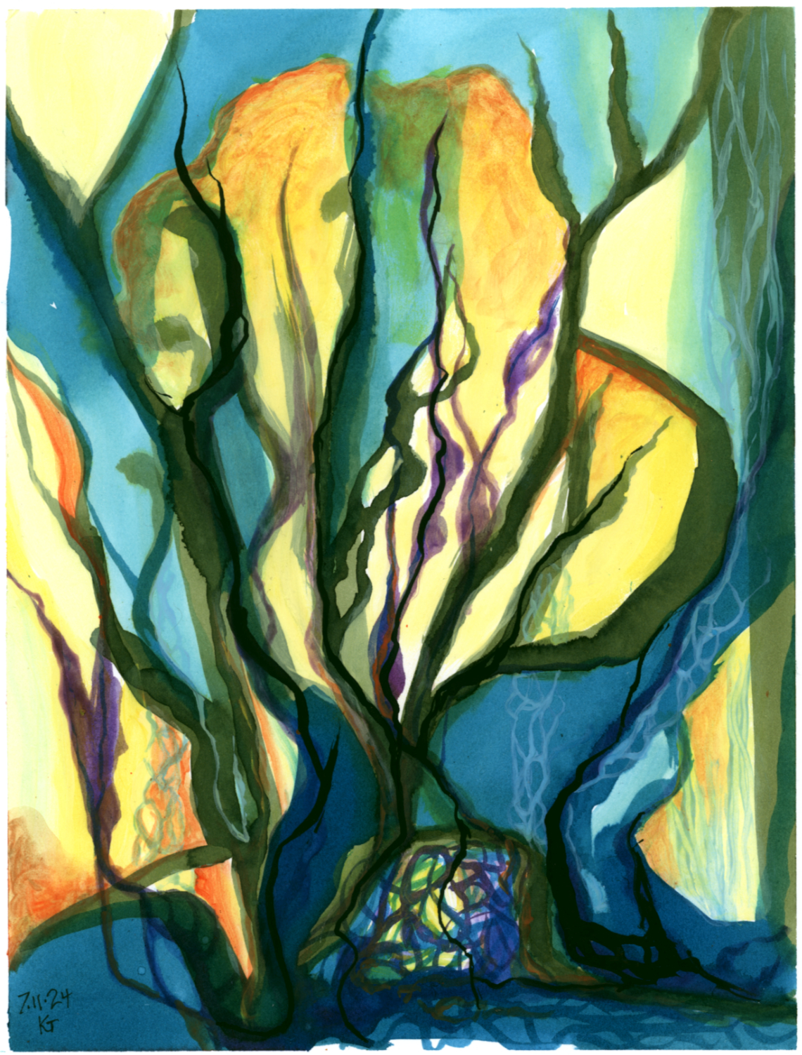 11 July 2024 | eyespider